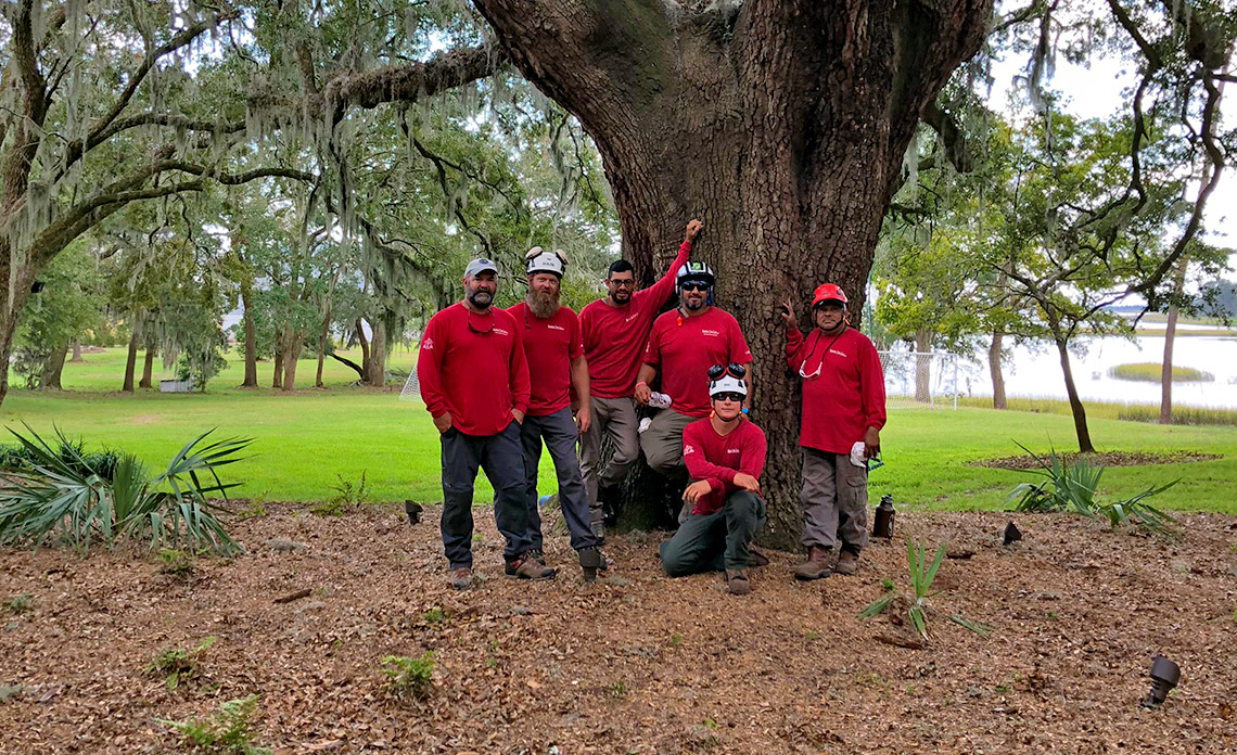 Naples.Florida tree services volunteers post Hurricane Michael in ...