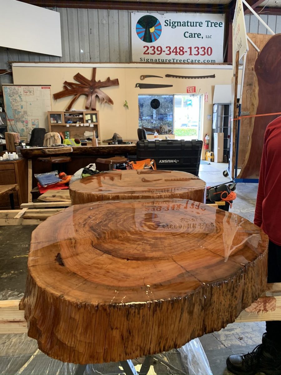 Live edge wood tables in Naples, Florida by Signature Tree Care ...